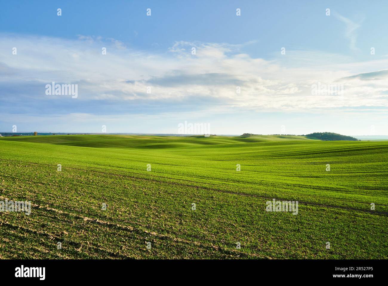 Pastoral scenery and natural growth hi-res stock photography and images ...