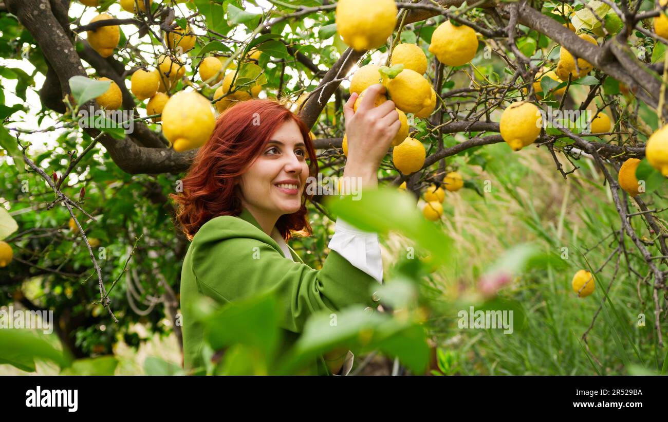 Lemon tree and girl hi-res stock photography and images - Alamy