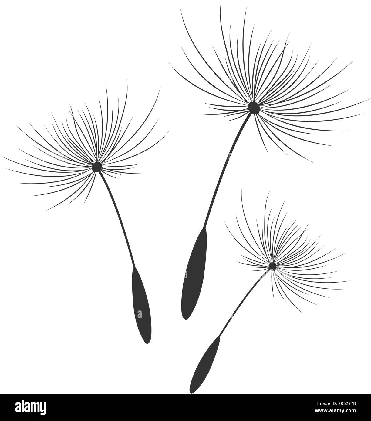 Wind flight Black and White Stock Photos & Images - Alamy