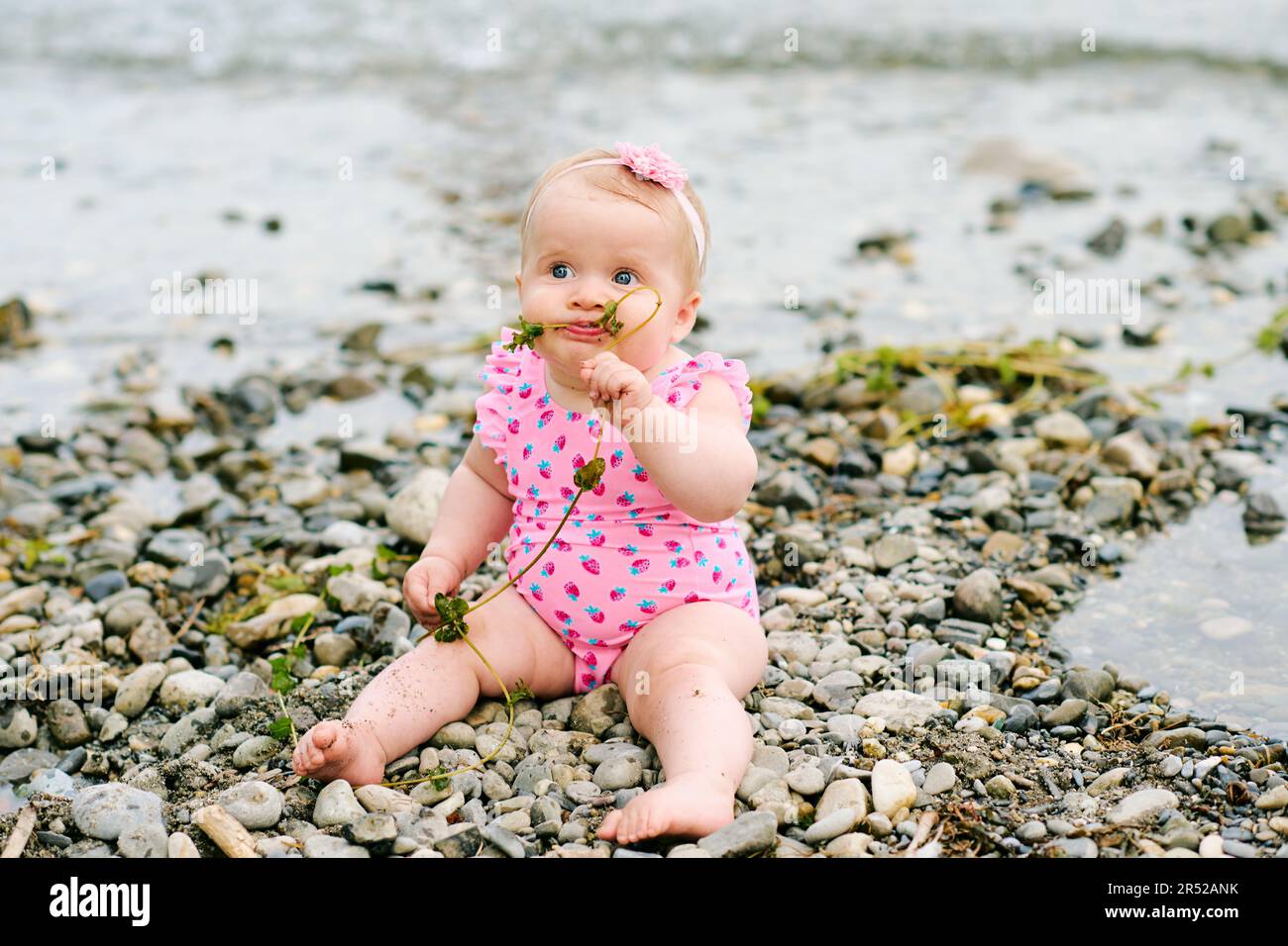 Outdoor portrait of adorable baby girl playing with seaweed by the ...