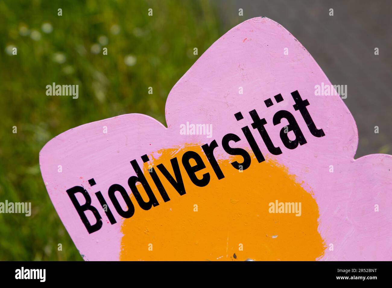 Wooden sign with the german inscription Biodiversität (Biodiversity) on ...