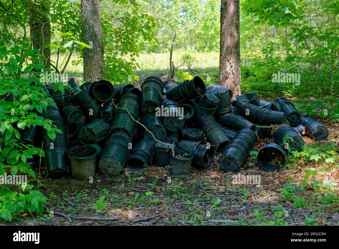Large black plastic potting plant containers for small trees and bushes ...