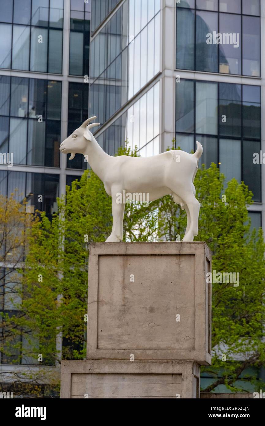 Goat market square hi-res stock photography and images - Alamy
