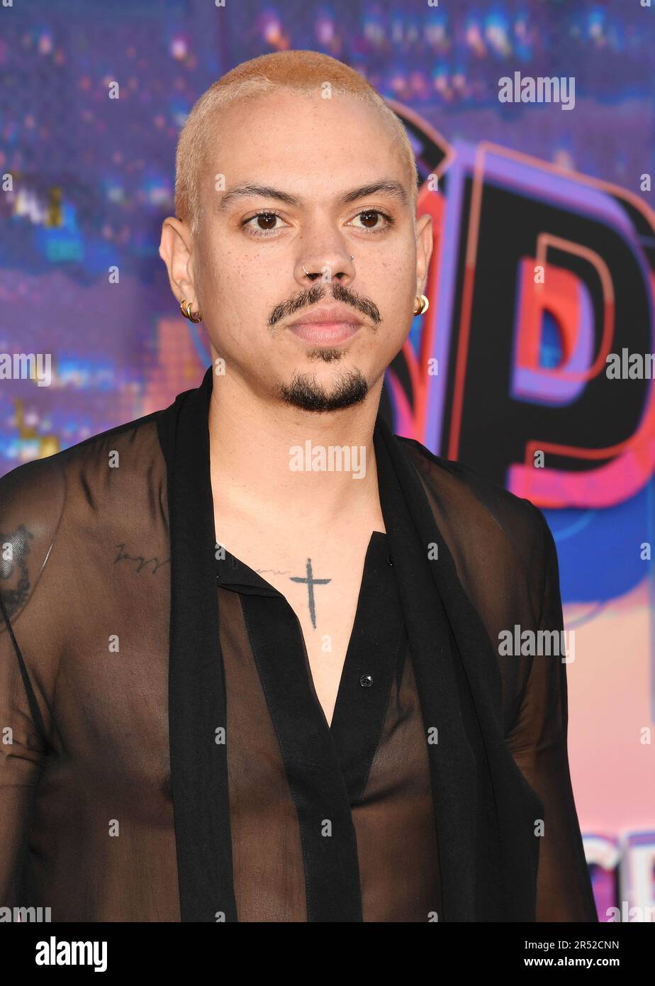 LOS ANGELES, CA - MAY 30: Evan Ross attends the world premiere of ...