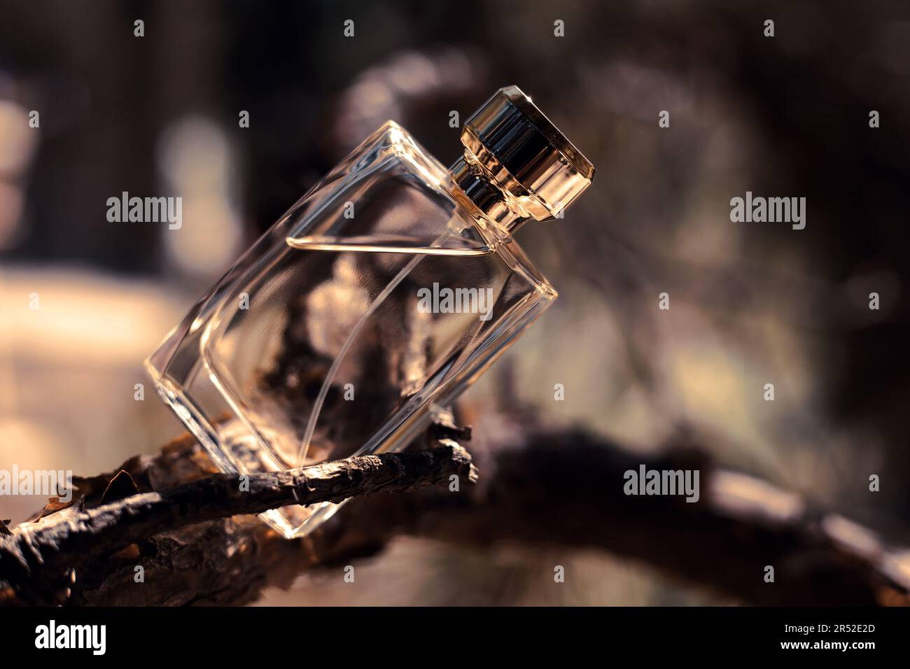 Perfume bottle on nature background Stock Photo - Alamy