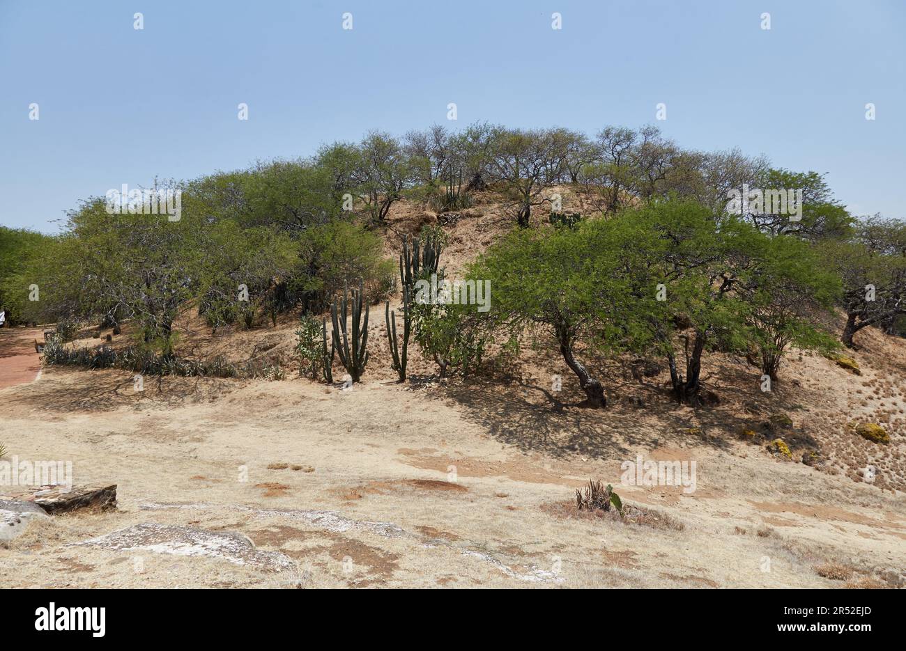 Tomb findings from Zaachila, Oaxaca, on display at Mexico City's ...