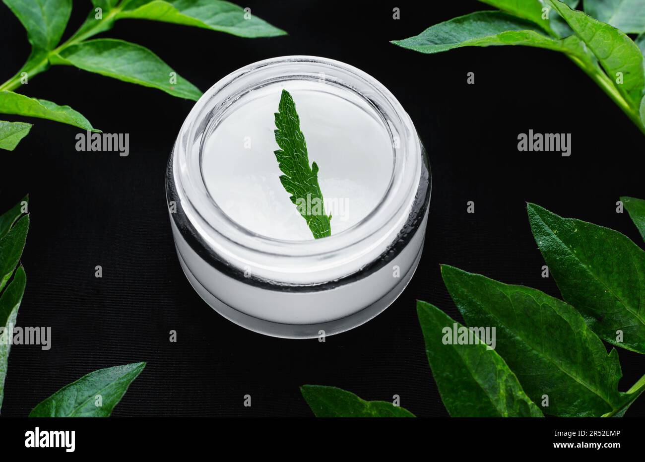 Jar of moisturizing white cream and green leaf Stock Photo - Alamy