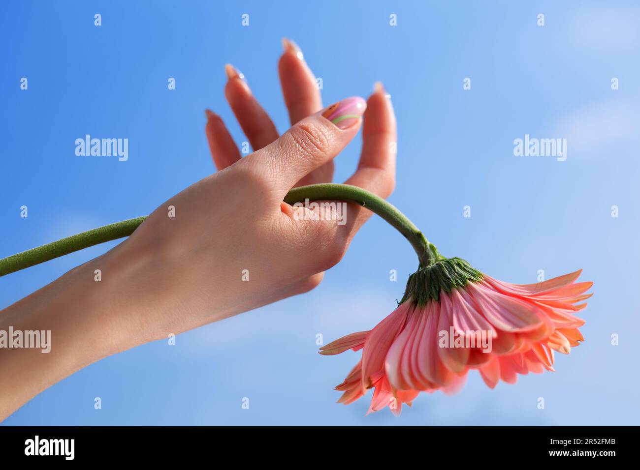 Skin and flower hi-res stock photography and images - Alamy