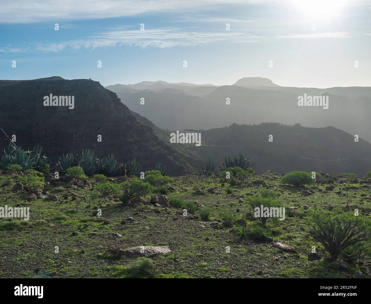 View from green plateau on top of La Merica mountain with agave cacti ...