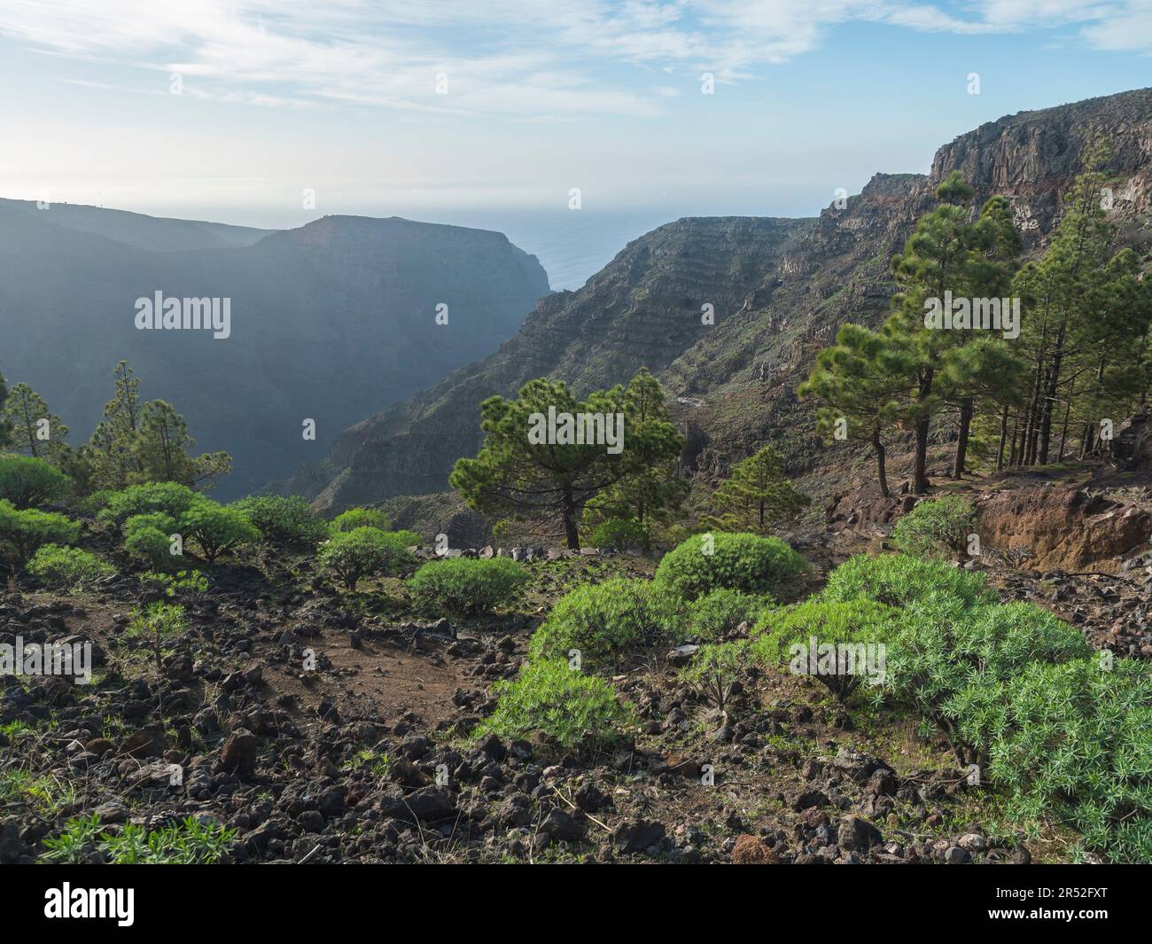 View of green valley with pine trees, cacti and sharp cliffs of La ...