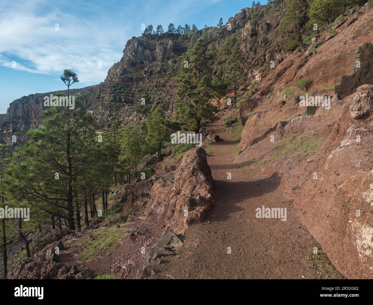 Dirt path on top of sharp cliffs of La Merica mountain with pine tree ...