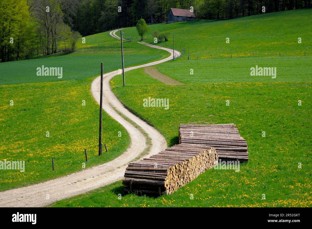 Swabian Alb, curved field path with firewood Stock Photo - Alamy