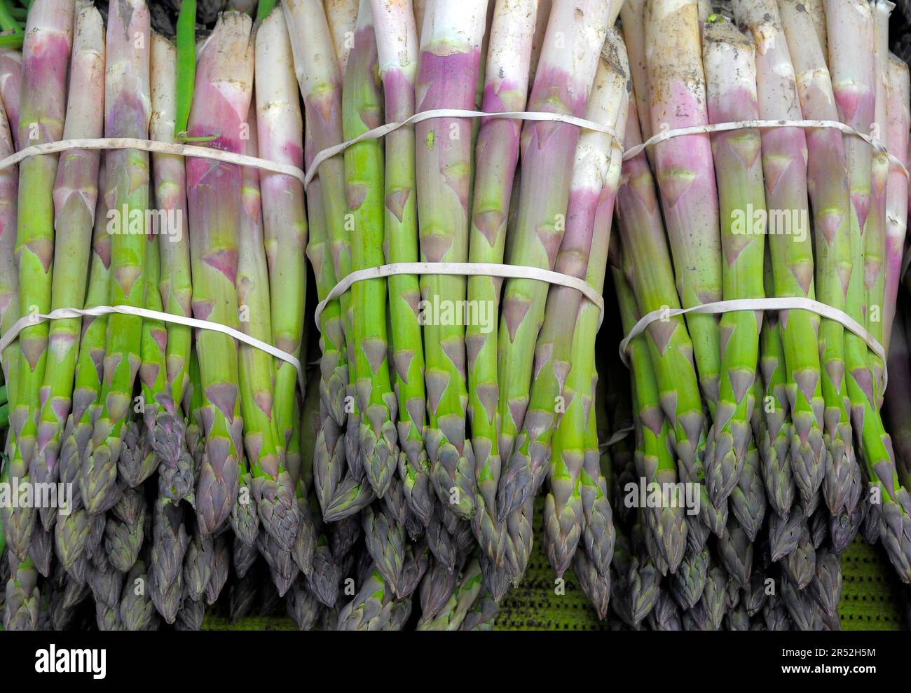 Italia, Emilia Romagna, Adriatic Sea, green asparagus, vegetable ...