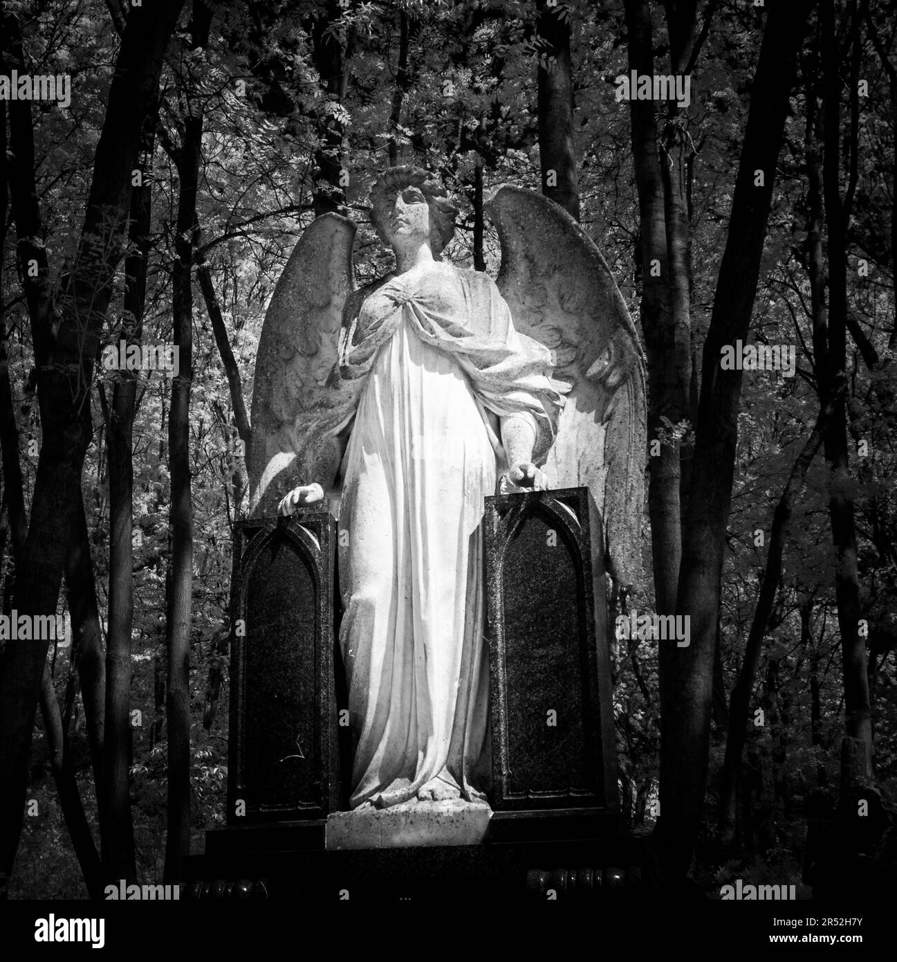 Tombs in Highgate Cemetery East, London Stock Photo - Alamy