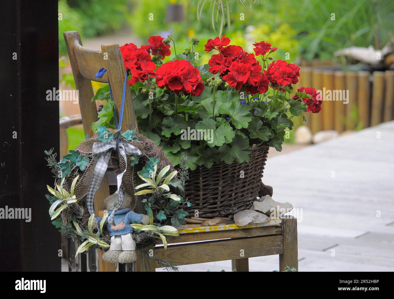 Pelargonium in basket hi-res stock photography and images - Alamy