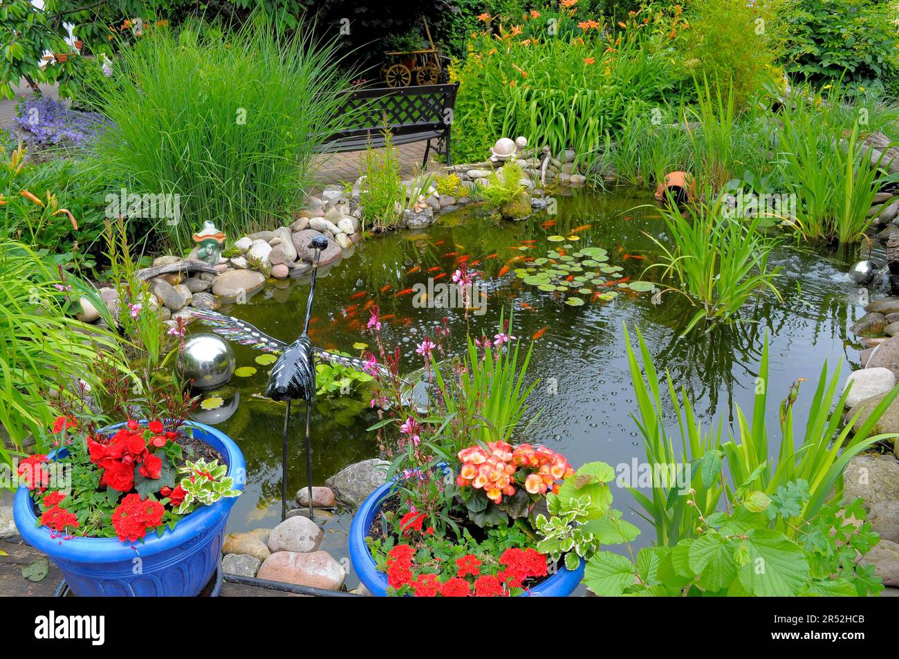 Garden pond with goldfish Stock Photo - Alamy