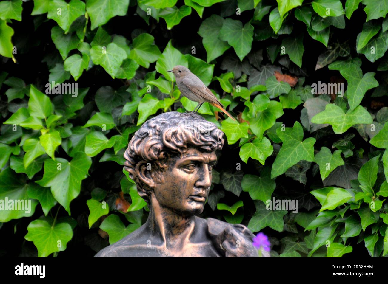 Adam figure hi-res stock photography and images - Alamy