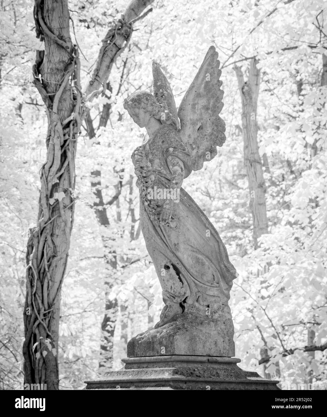 Historic london cemetery Black and White Stock Photos & Images - Alamy