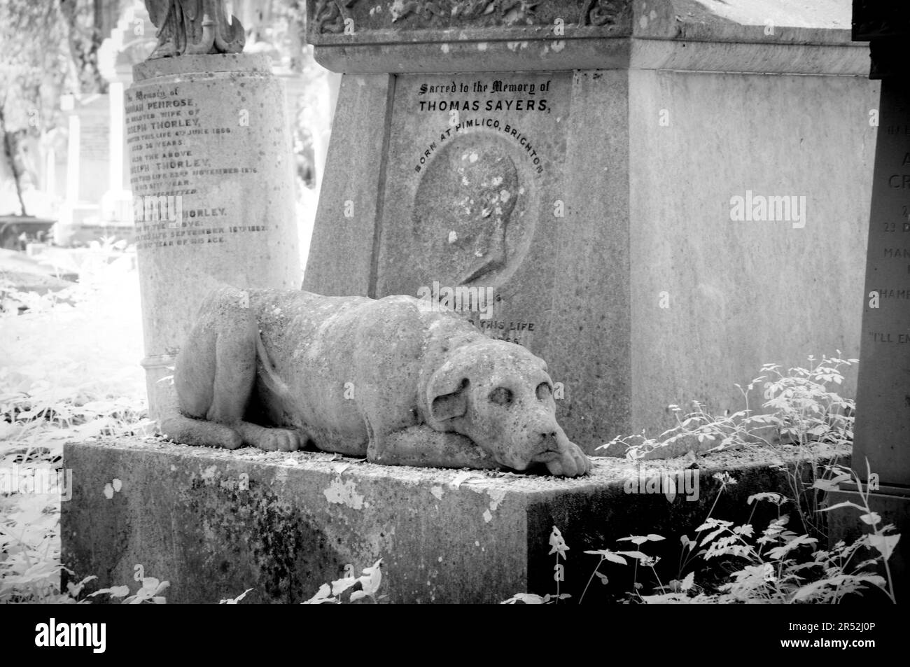 Grave of Thomas Sayers with statue of his dog "Lion" in Highgate ...