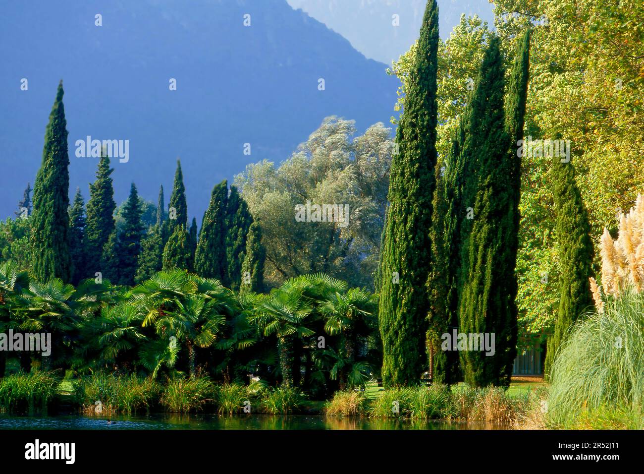 Pond, park, Riva, Lake Garda, Italy Stock Photo - Alamy