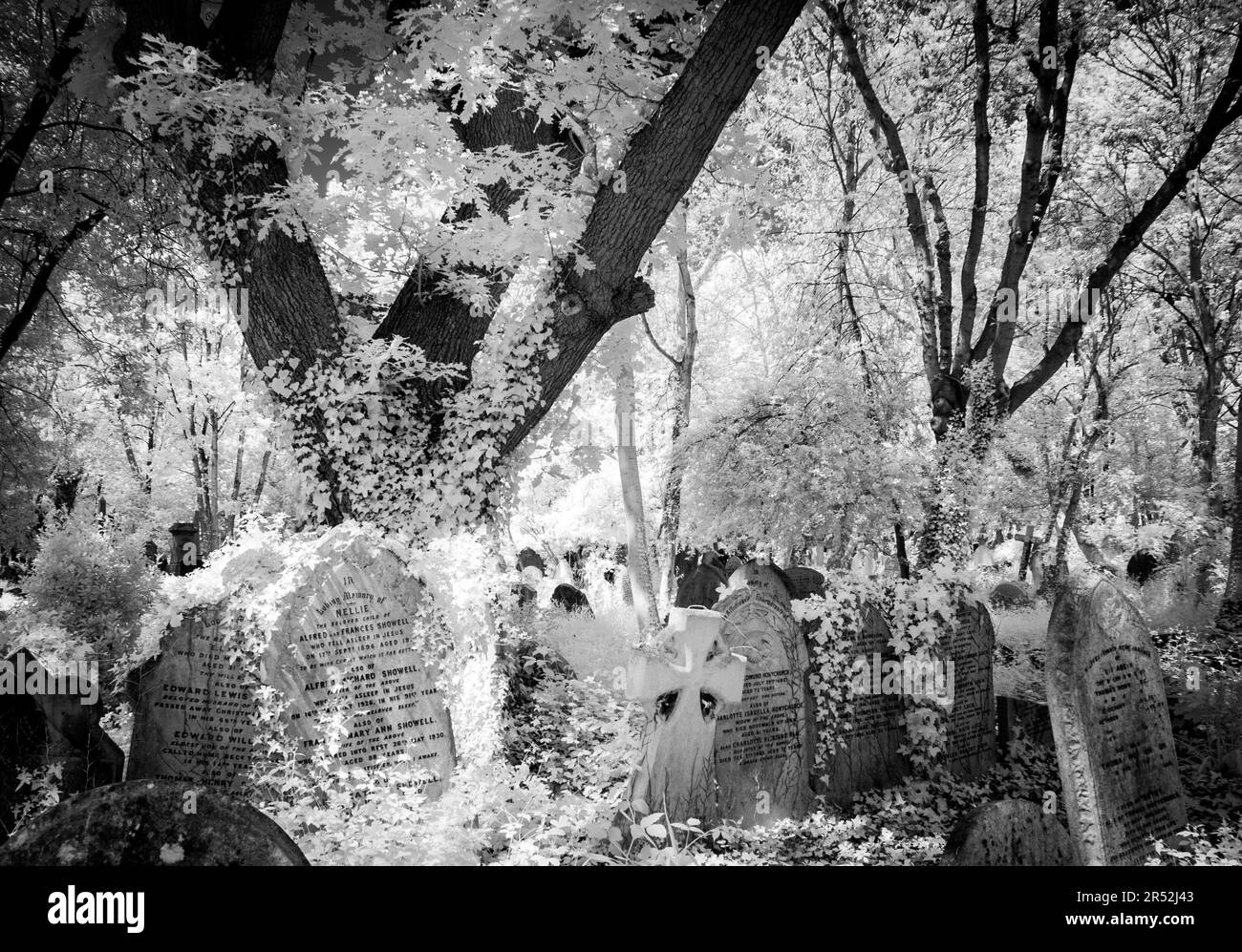 Graves in Highgate Cemetery West, London Stock Photo - Alamy