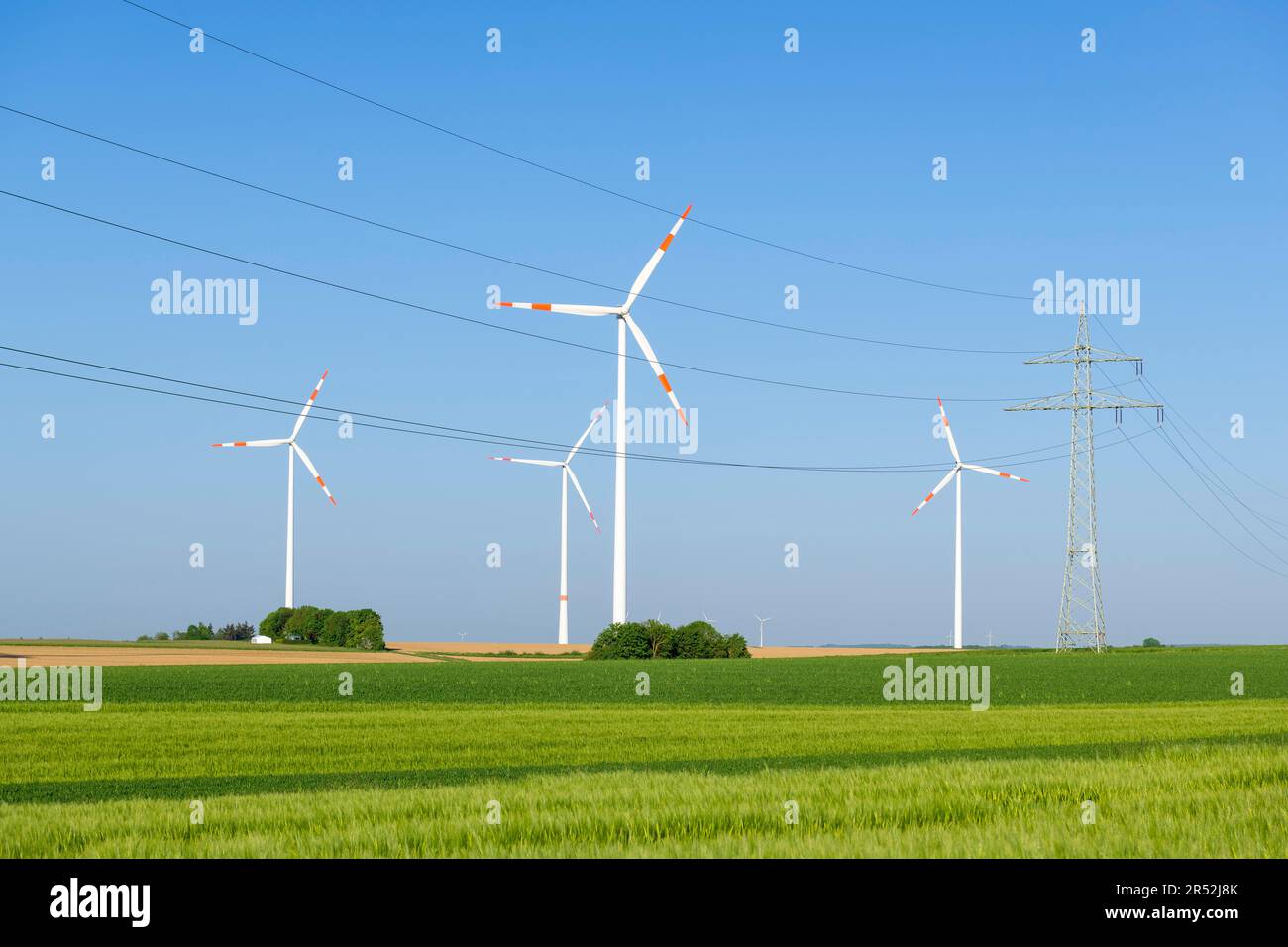 Symbolic image wind energy, energy transition, wind turbines on grain ...
