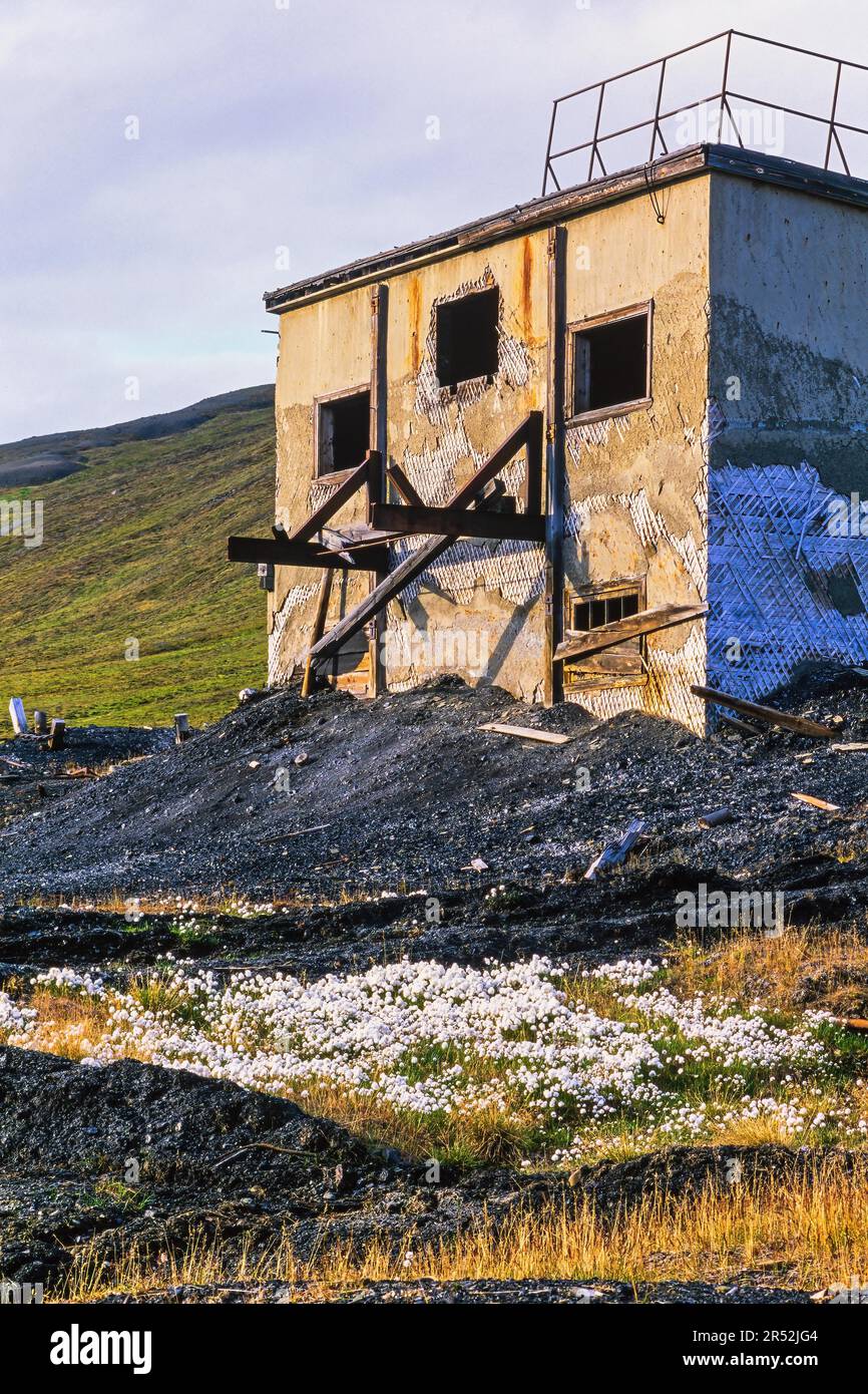 Old mine building on Spitsbergen with blooming cotton grass, Svalbard ...