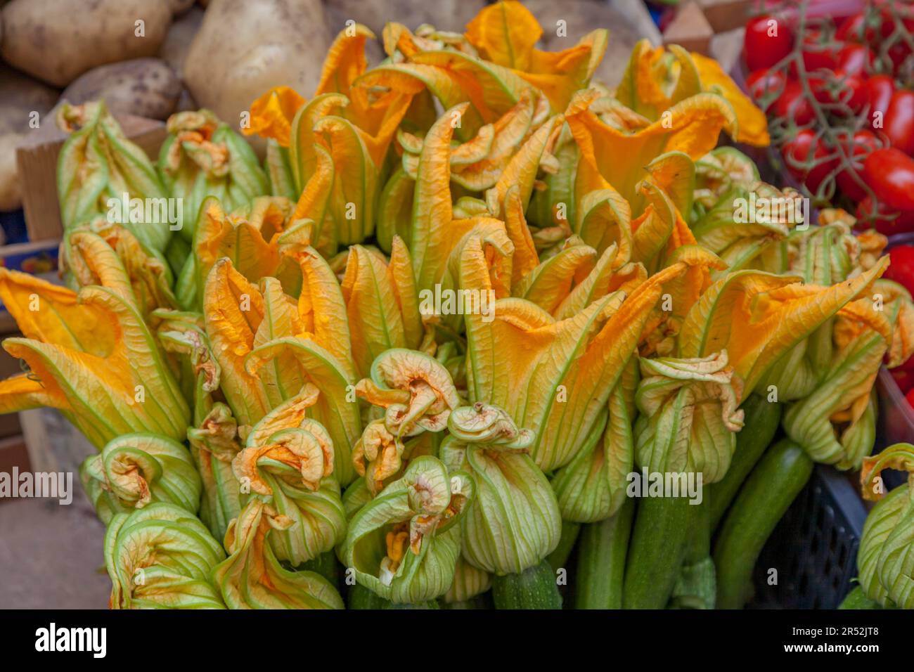 Sicily zucchini courgette hi-res stock photography and images - Alamy