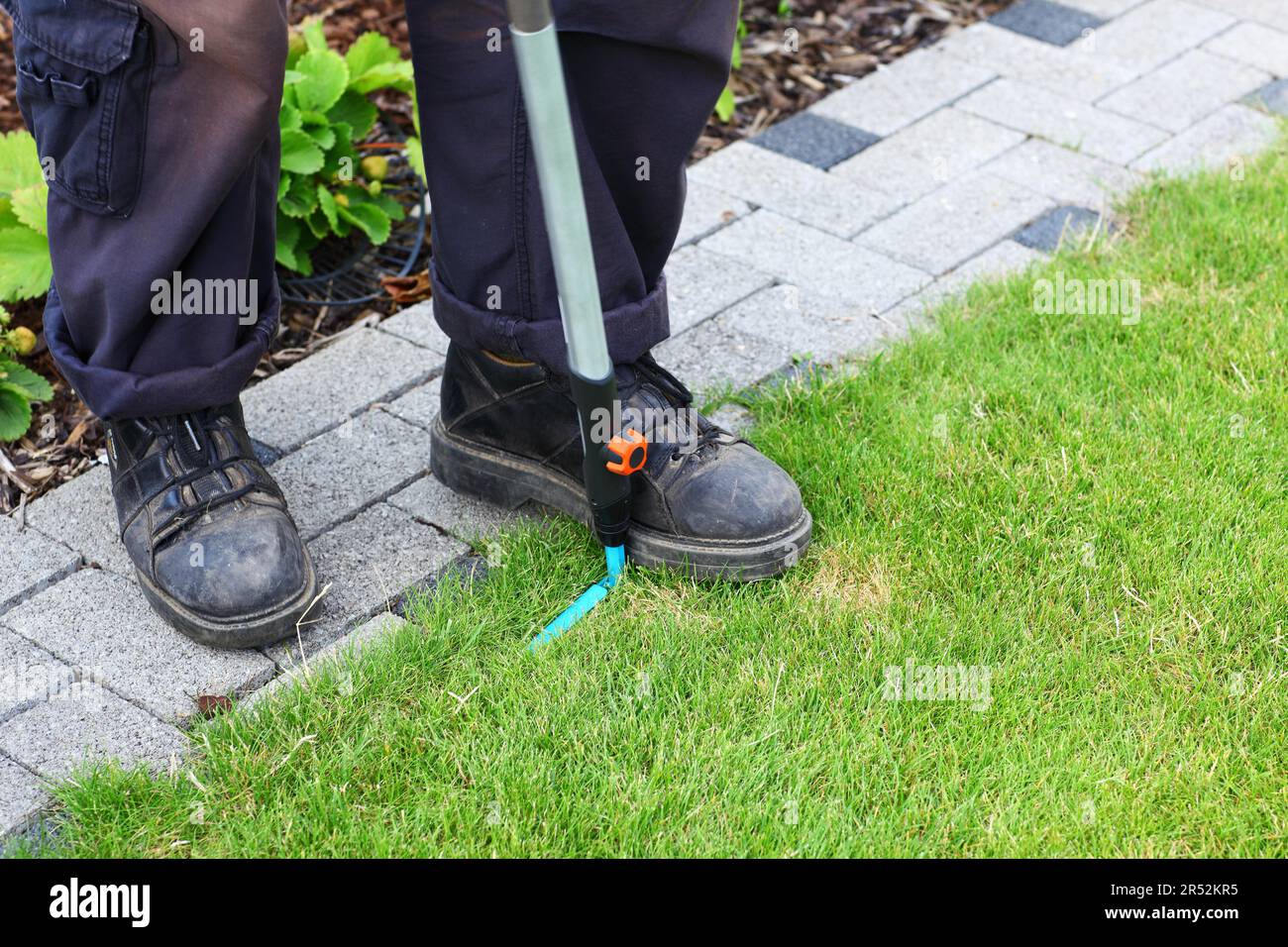 Gardening - edging lawn along the foothpath using garden tool Stock ...