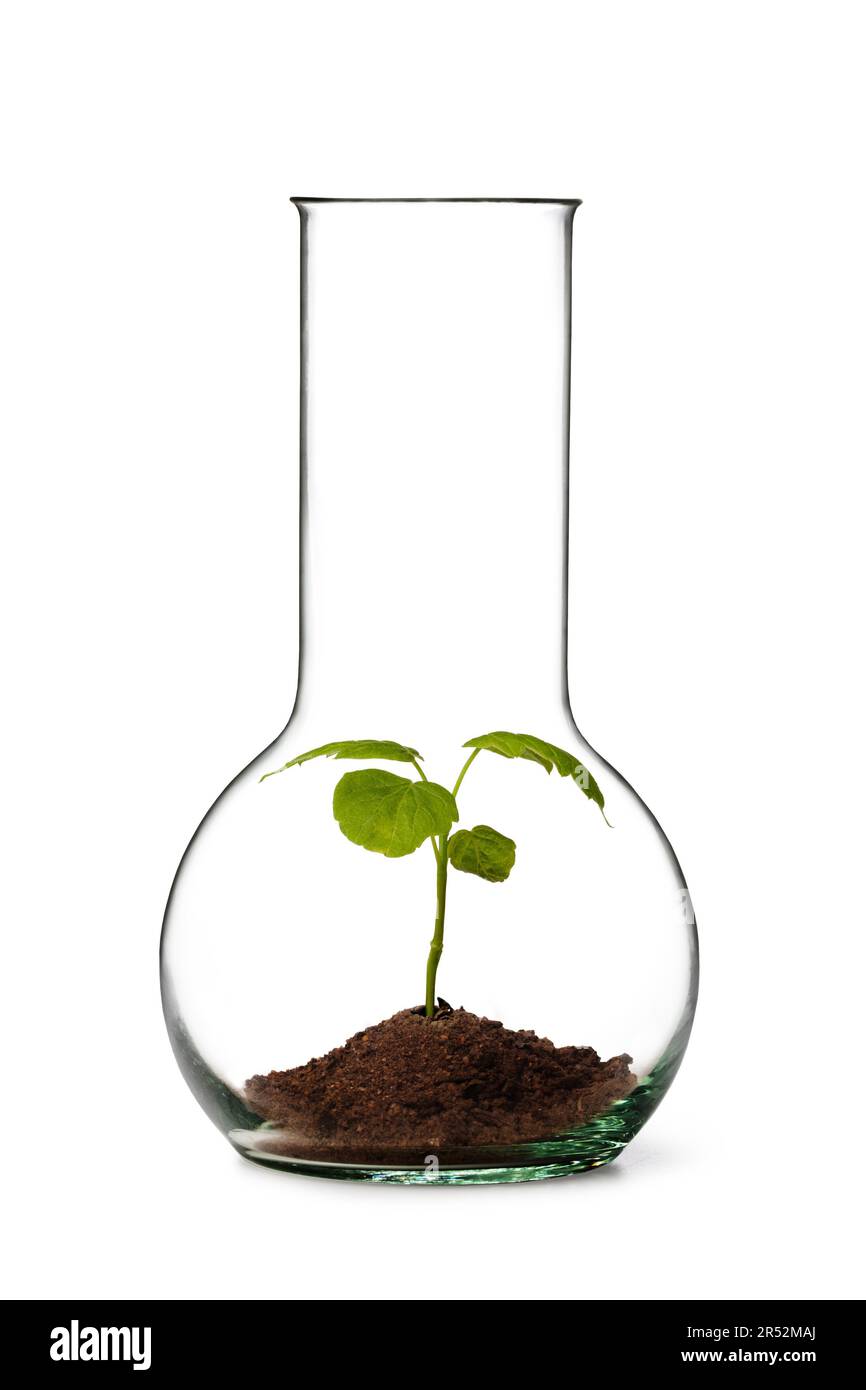 Earth pipe Cut Out Stock Images & Pictures - Alamy