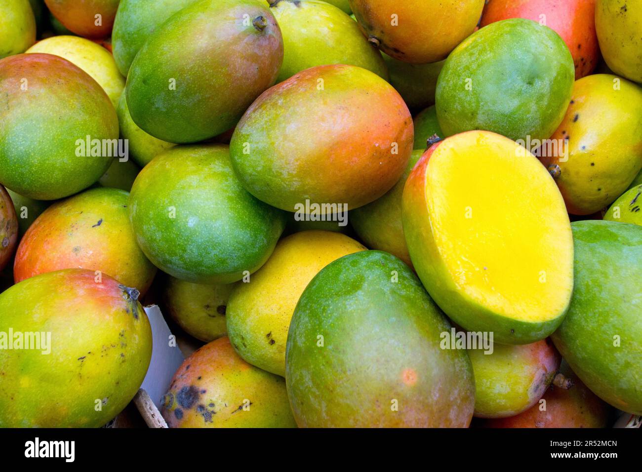 Mangoes at the market Stock Photo - Alamy