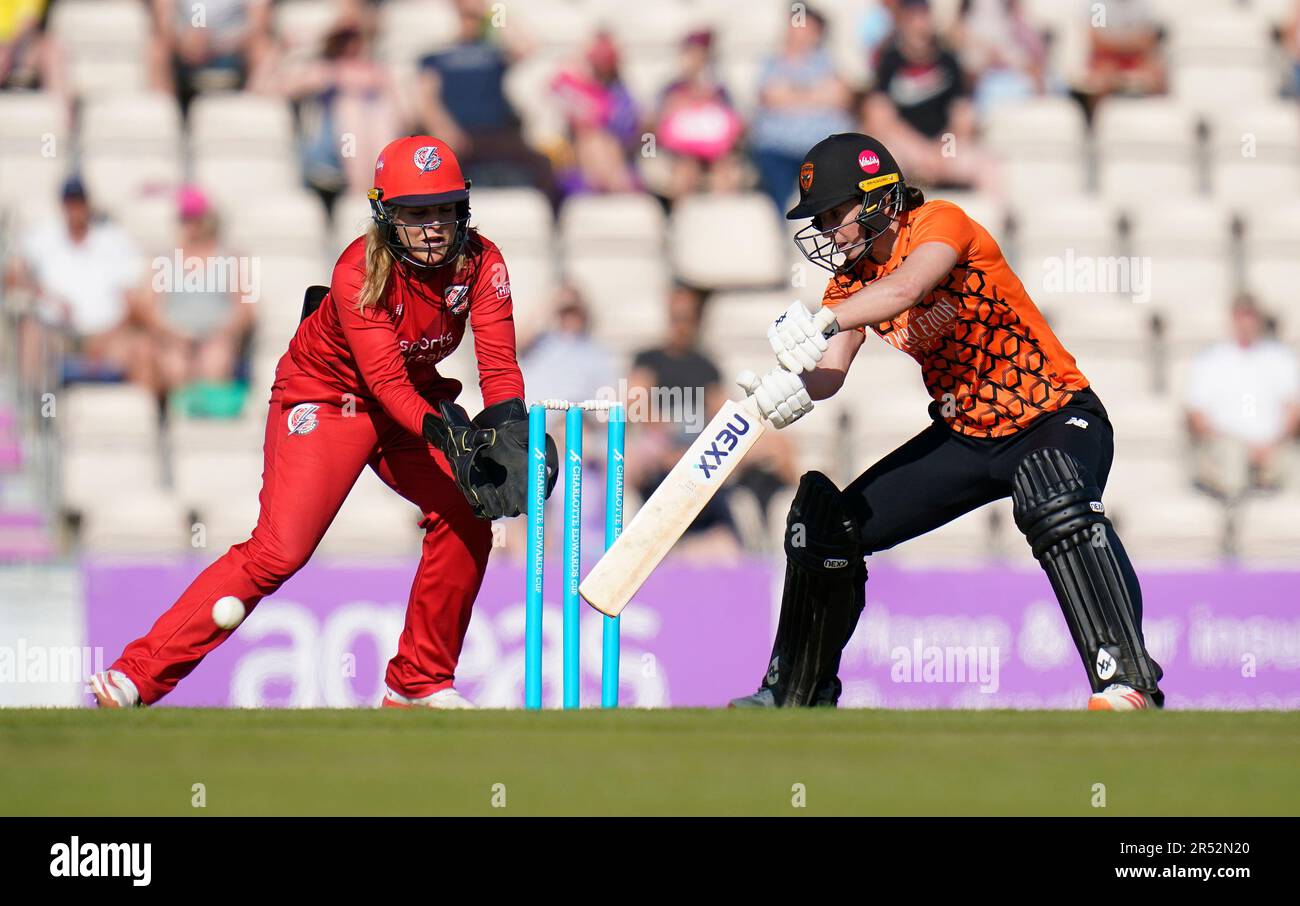 Vipers ampics hi-res stock photography and images - Alamy