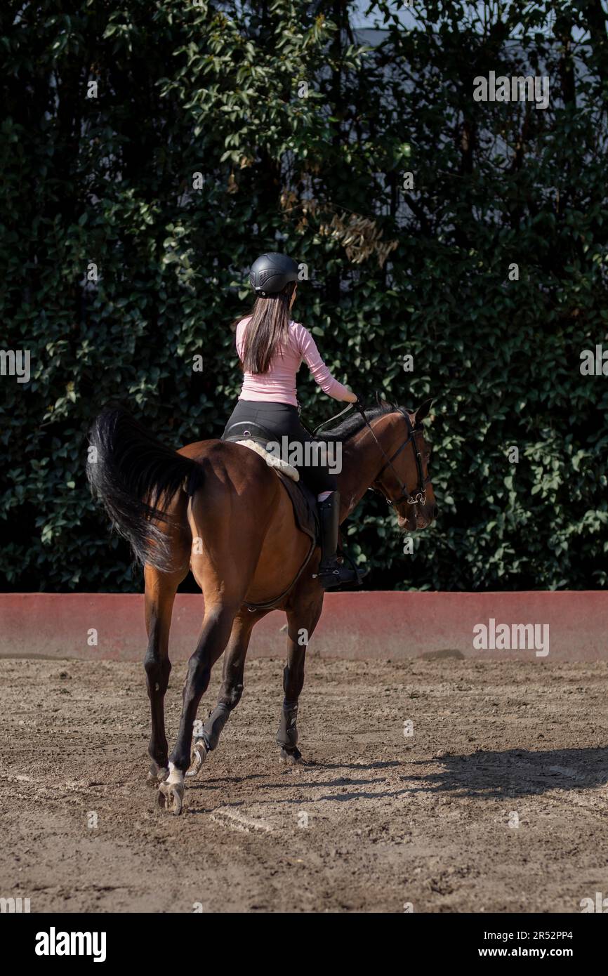 Vertical shot of a young woman riding a horse taking riding lessons ...