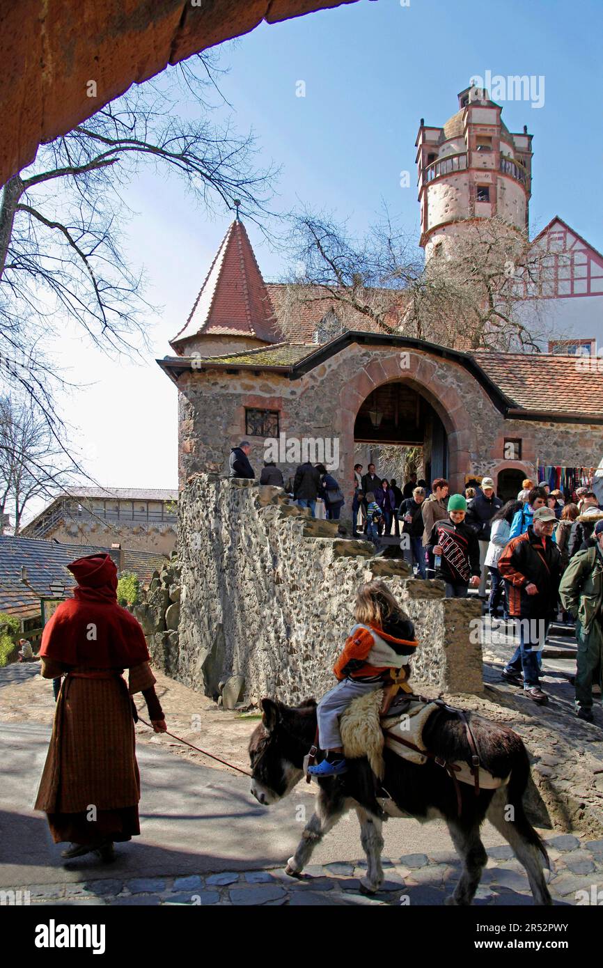 Knight's castle Ronneburg, little girl on donkey led by woman in ...
