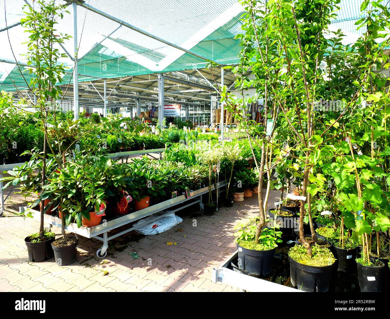 DIY store, plant department Stock Photo - Alamy
