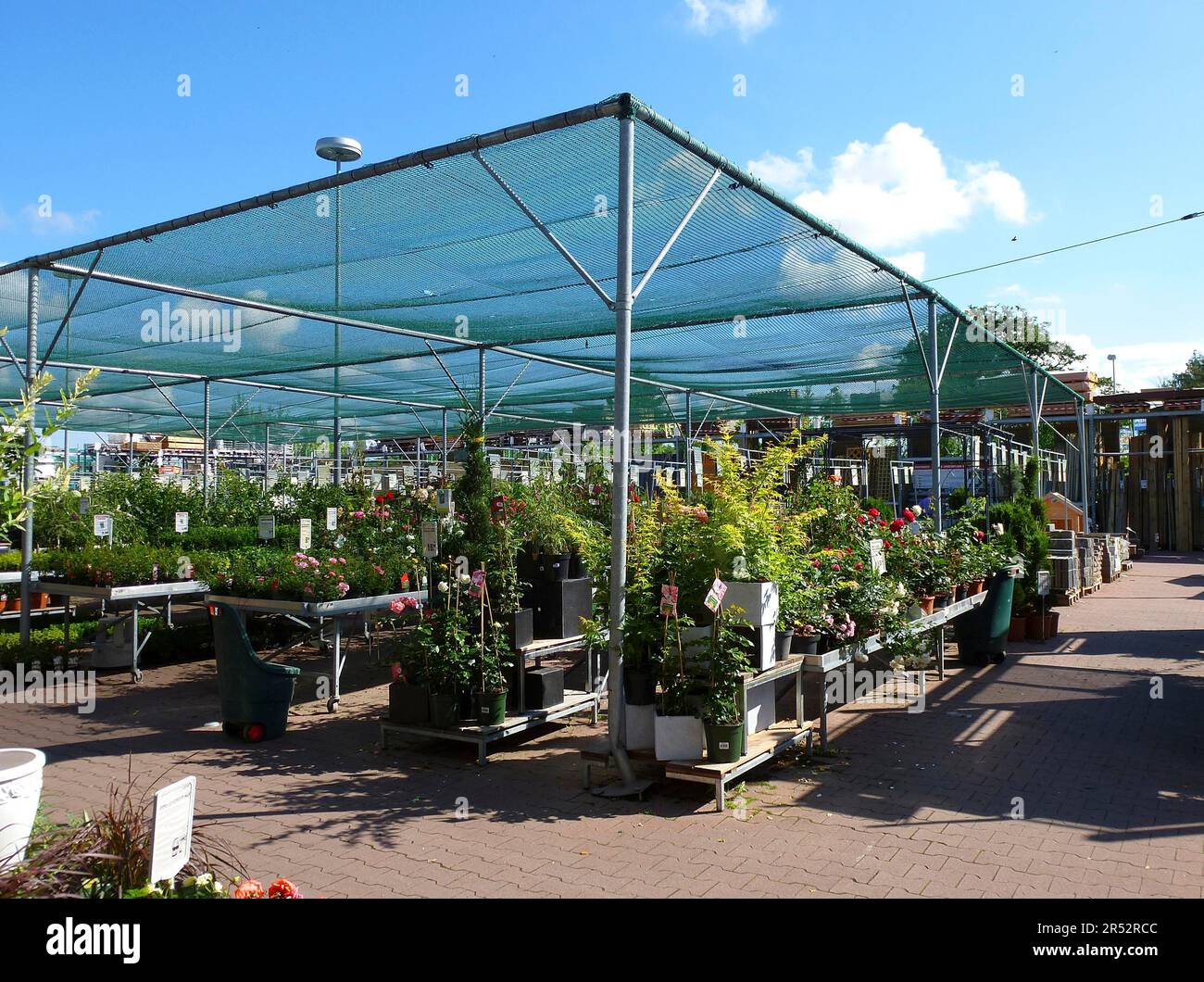 DIY store, flowers and shrubs Stock Photo - Alamy