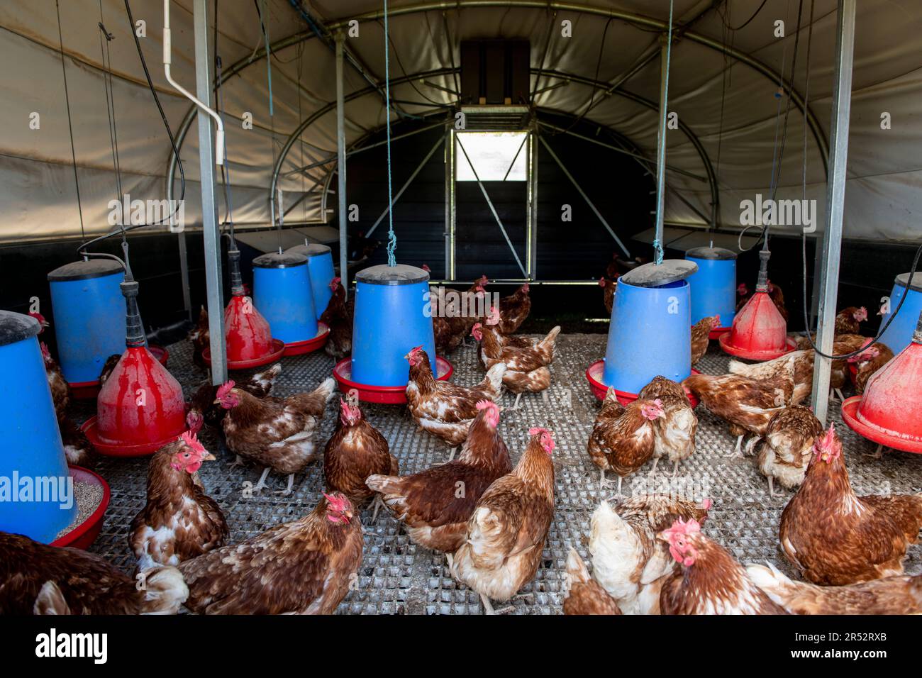 Ducks Hill Farm is a free range egg farm in Northwood near London ...