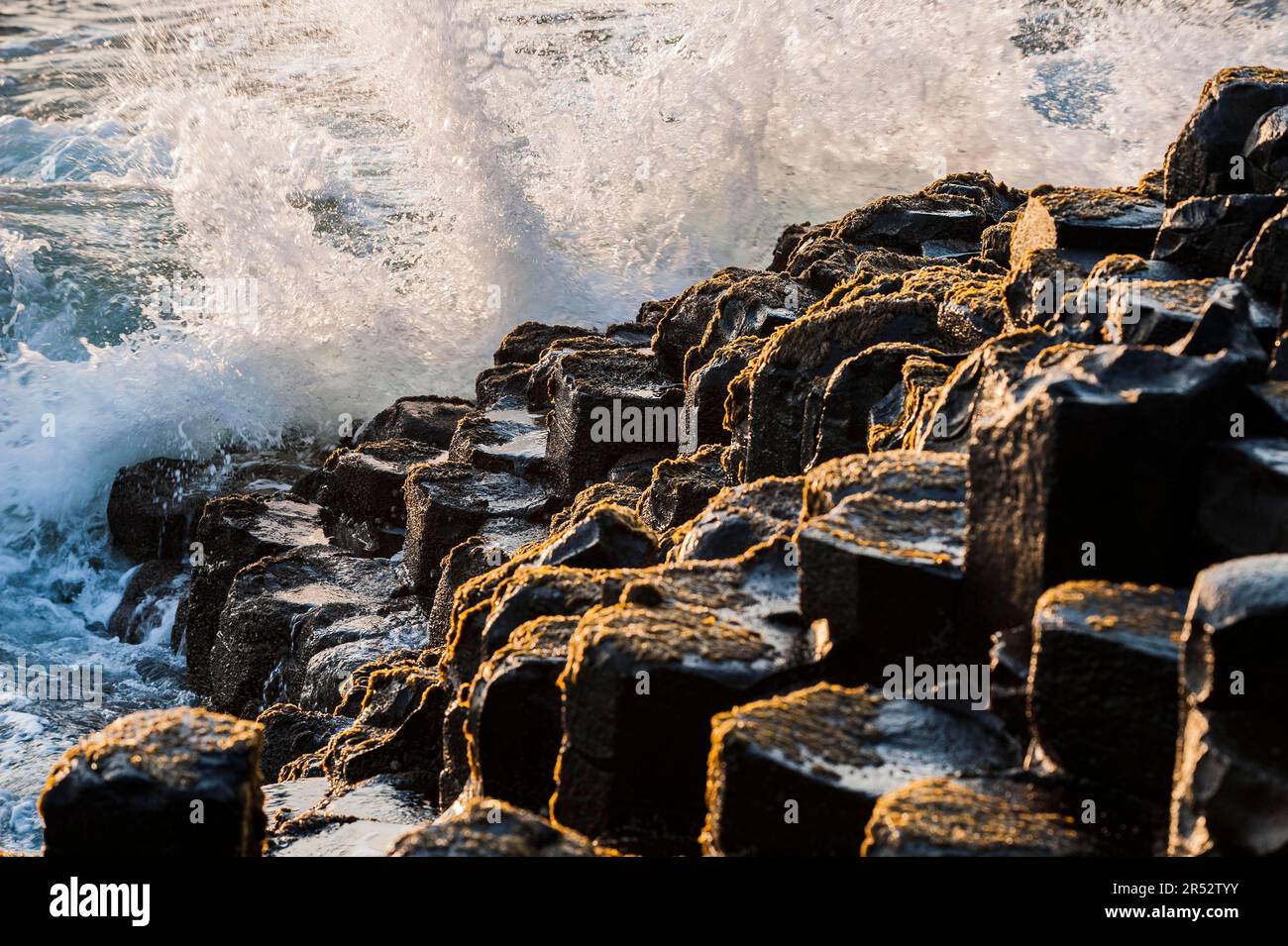 Basalt Rocks, Giant Causeway, Causeway Coast, Antrim, Northern Ireland ...
