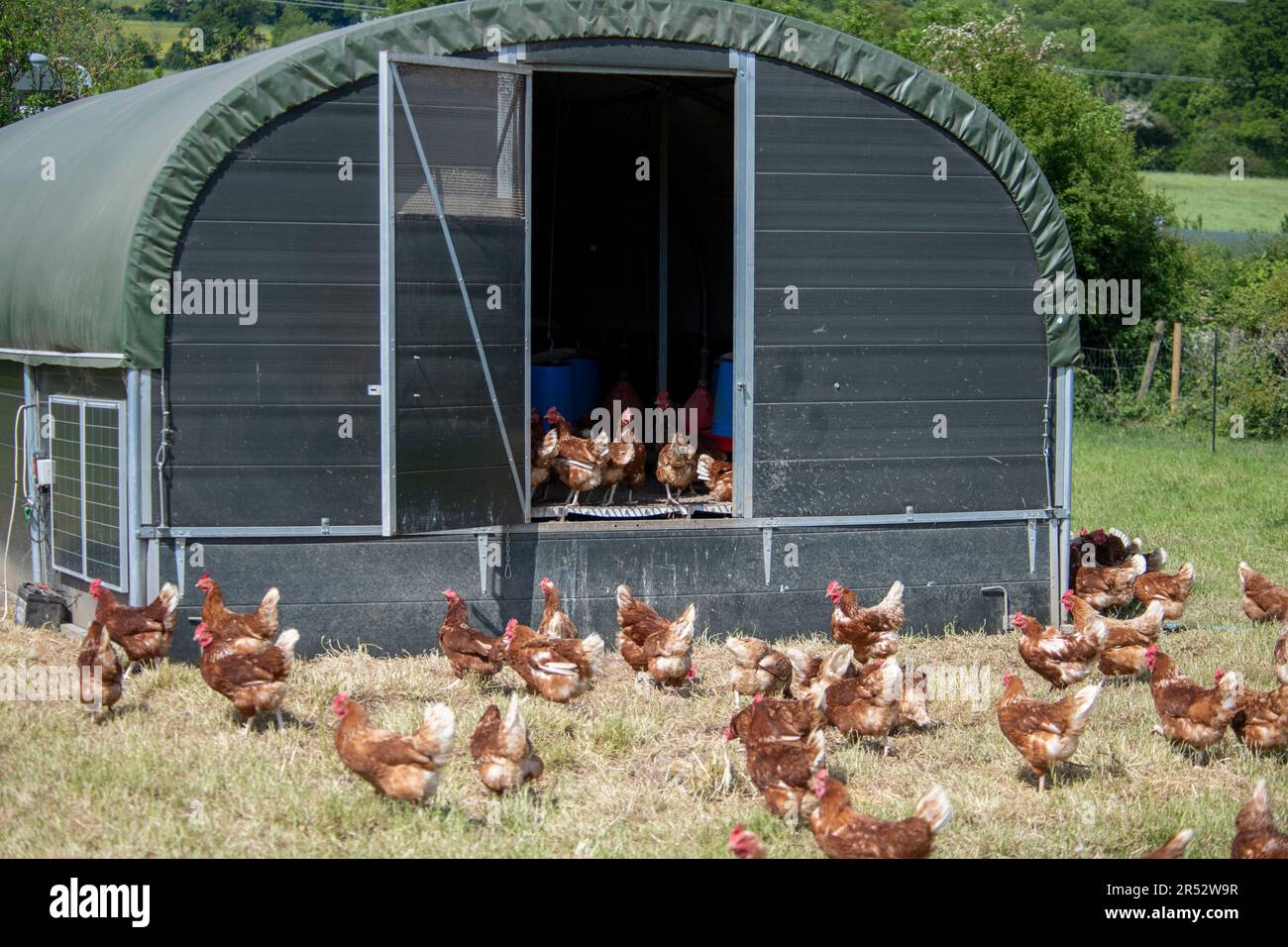 Ducks Hill Farm is a free range egg farm in Northwood near London ...