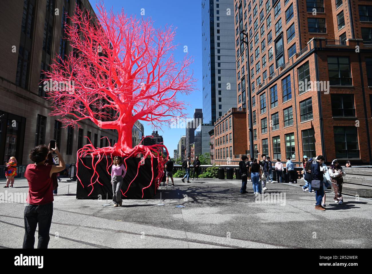 The pink "Old Tree" art installation rises above a plaza on the spur of ...