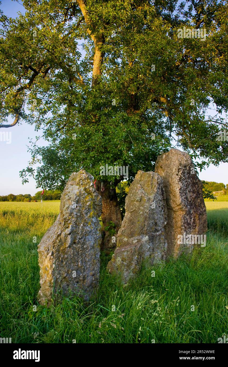 Menhir monolith megalith stone hi-res stock photography and images - Alamy