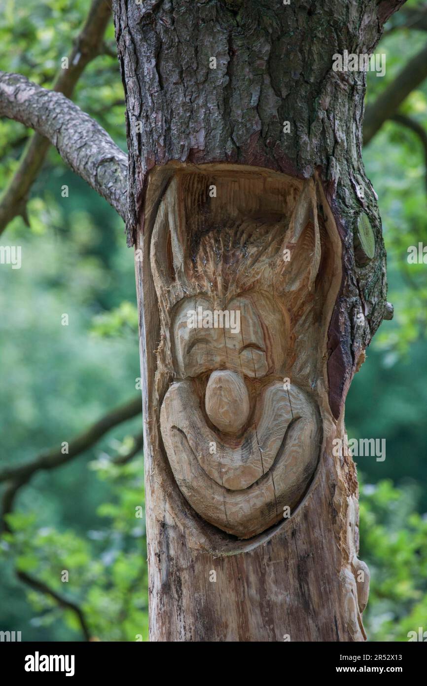 Wood carving, face in tree trunk Stock Photo - Alamy