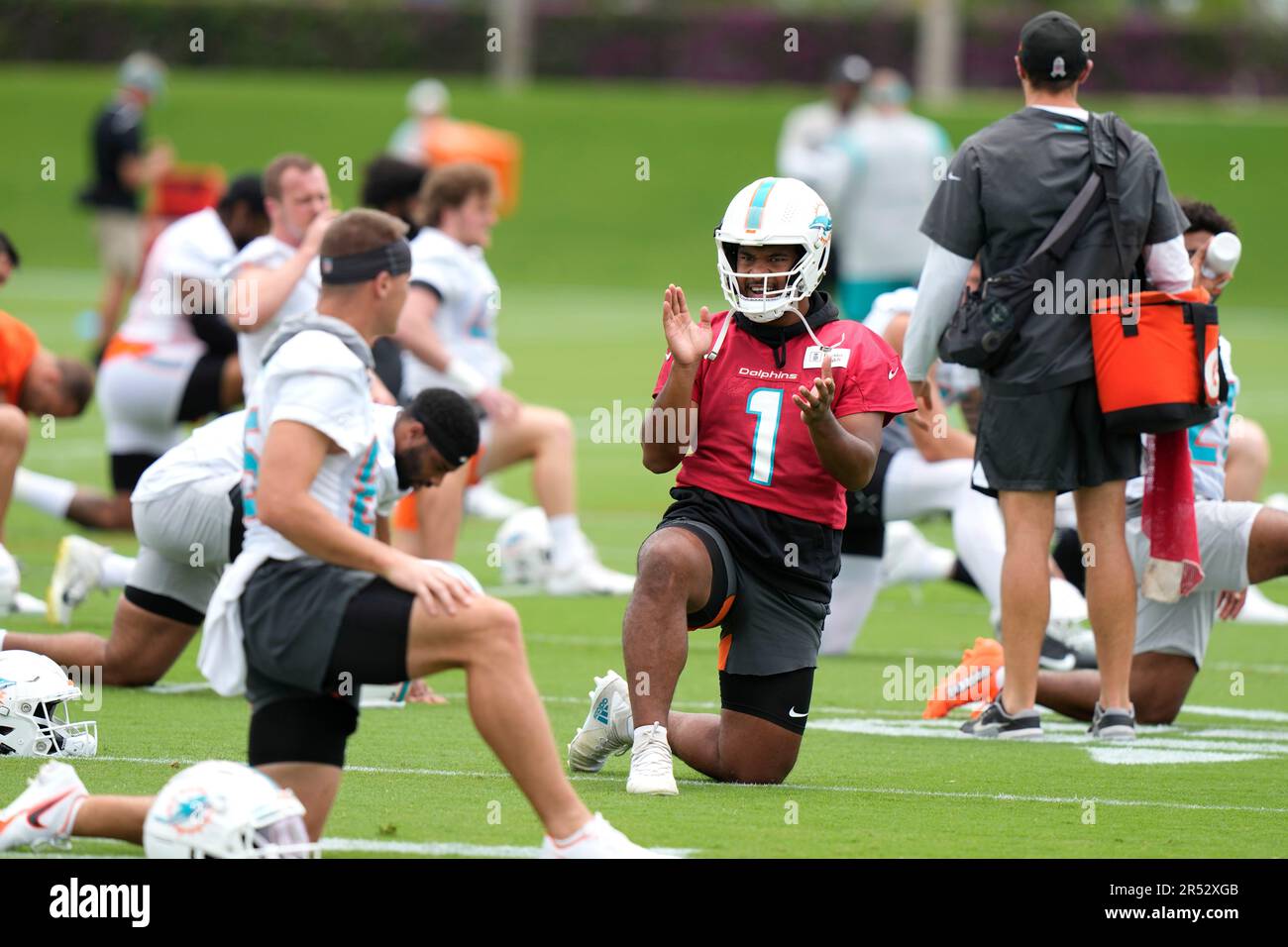 Miami Dolphins quarterback Tua Tagovailoa (1) claps his hands during ...