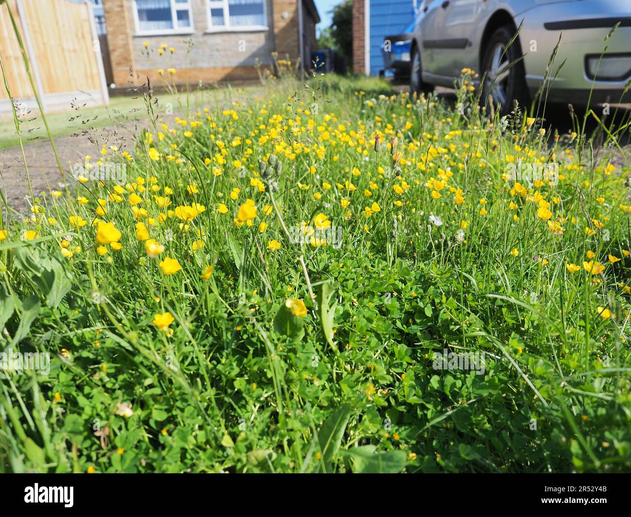 Helping insects hi-res stock photography and images - Alamy