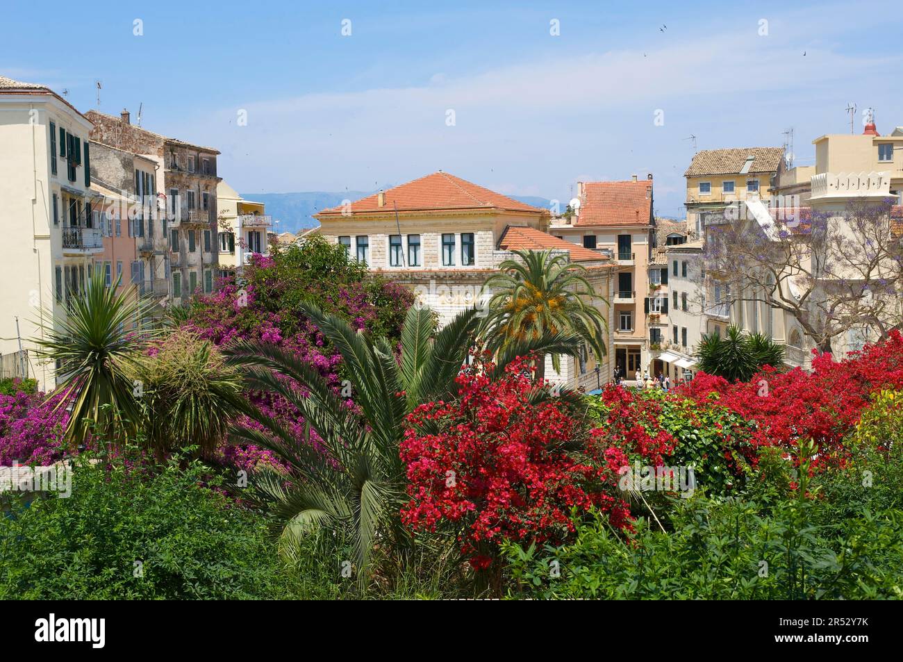 Old Town, Kerkira, Corfu Town, Corfu, Ionian Islands, Greece Stock ...