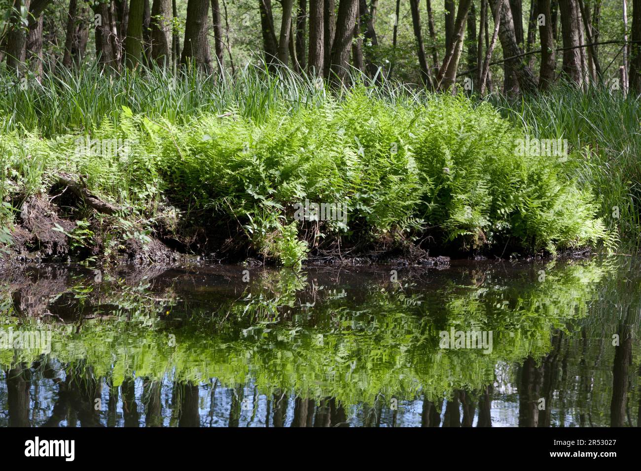 Bank slope hi-res stock photography and images - Alamy