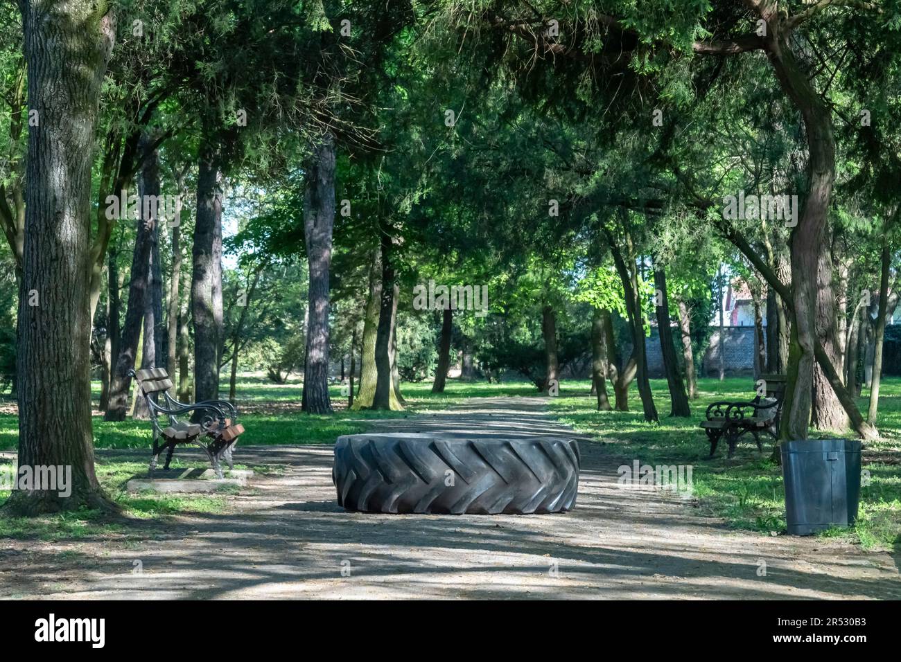 Exercise benches hi-res stock photography and images - Alamy