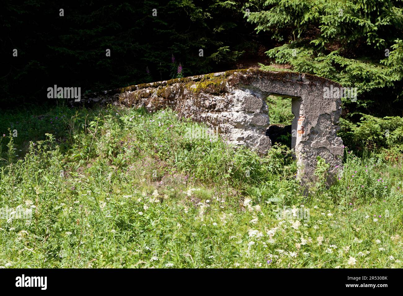 Old cellar vault Stock Photo - Alamy