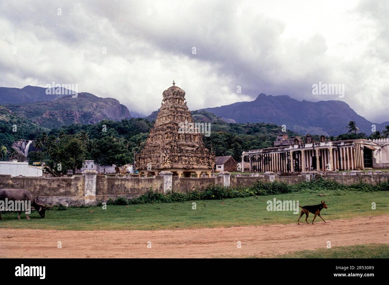 Nataraja temples hi-res stock photography and images - Alamy
