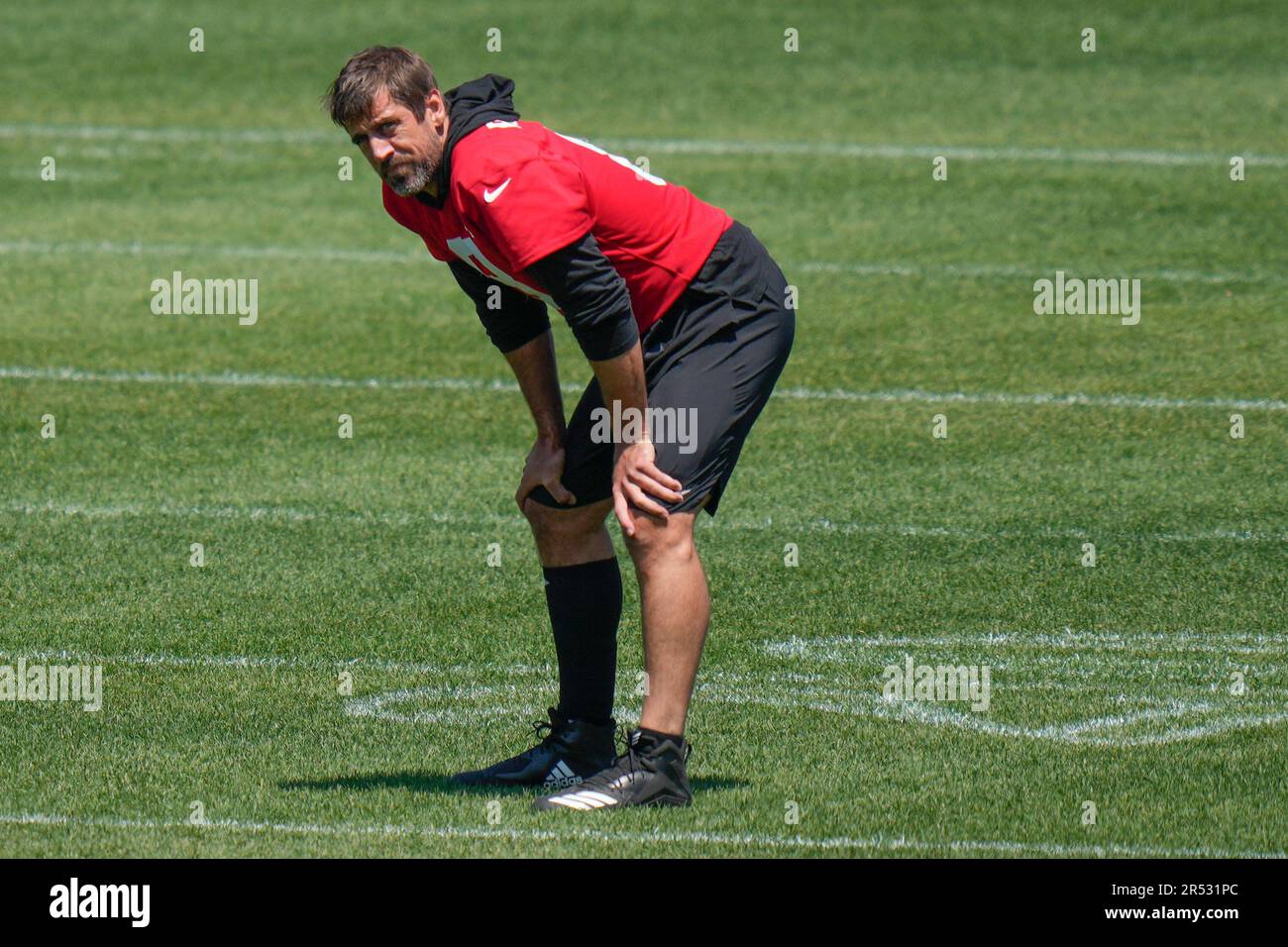 New York Jets quarterback Aaron Rodgers watches teammates run drills at ...